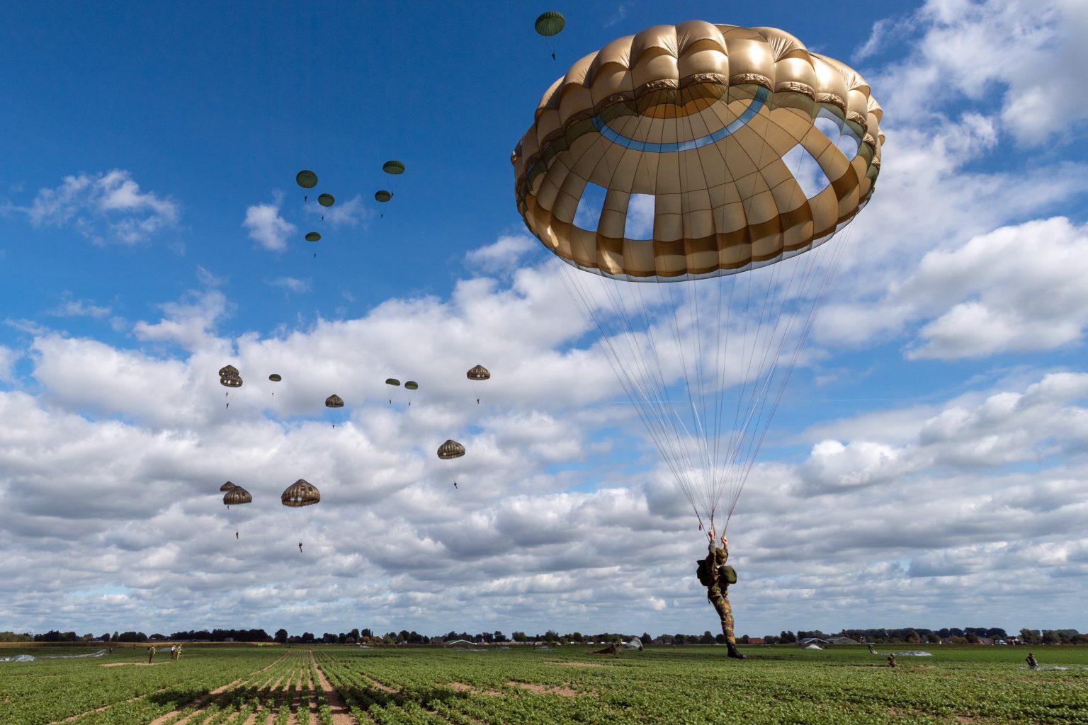 Parachute | Heathcoat Fabrics